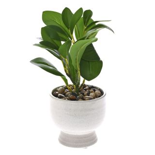 DECORSEASONS - ΕΠΟΧΙΑΚΑ ΕΙΔΗ - ΧΡΙΣΤΟΥΓΕΝΝΙΑΤΙΚΑ - ΚΑΘΡΕΦΤΕΣ ...
