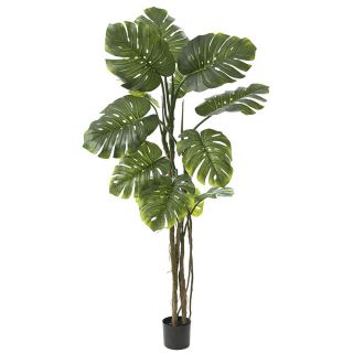DECORSEASONS - ΕΠΟΧΙΑΚΑ ΕΙΔΗ - ΧΡΙΣΤΟΥΓΕΝΝΙΑΤΙΚΑ - ΚΑΘΡΕΦΤΕΣ ...