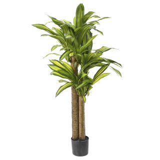 DECORSEASONS - ΕΠΟΧΙΑΚΑ ΕΙΔΗ - ΧΡΙΣΤΟΥΓΕΝΝΙΑΤΙΚΑ - ΚΑΘΡΕΦΤΕΣ ...