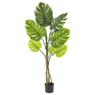 DECORSEASONS - ΕΠΟΧΙΑΚΑ ΕΙΔΗ - ΧΡΙΣΤΟΥΓΕΝΝΙΑΤΙΚΑ - ΚΑΘΡΕΦΤΕΣ ...