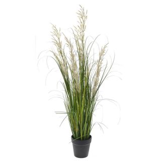 DECORSEASONS - ΕΠΟΧΙΑΚΑ ΕΙΔΗ - ΧΡΙΣΤΟΥΓΕΝΝΙΑΤΙΚΑ - ΚΑΘΡΕΦΤΕΣ ...