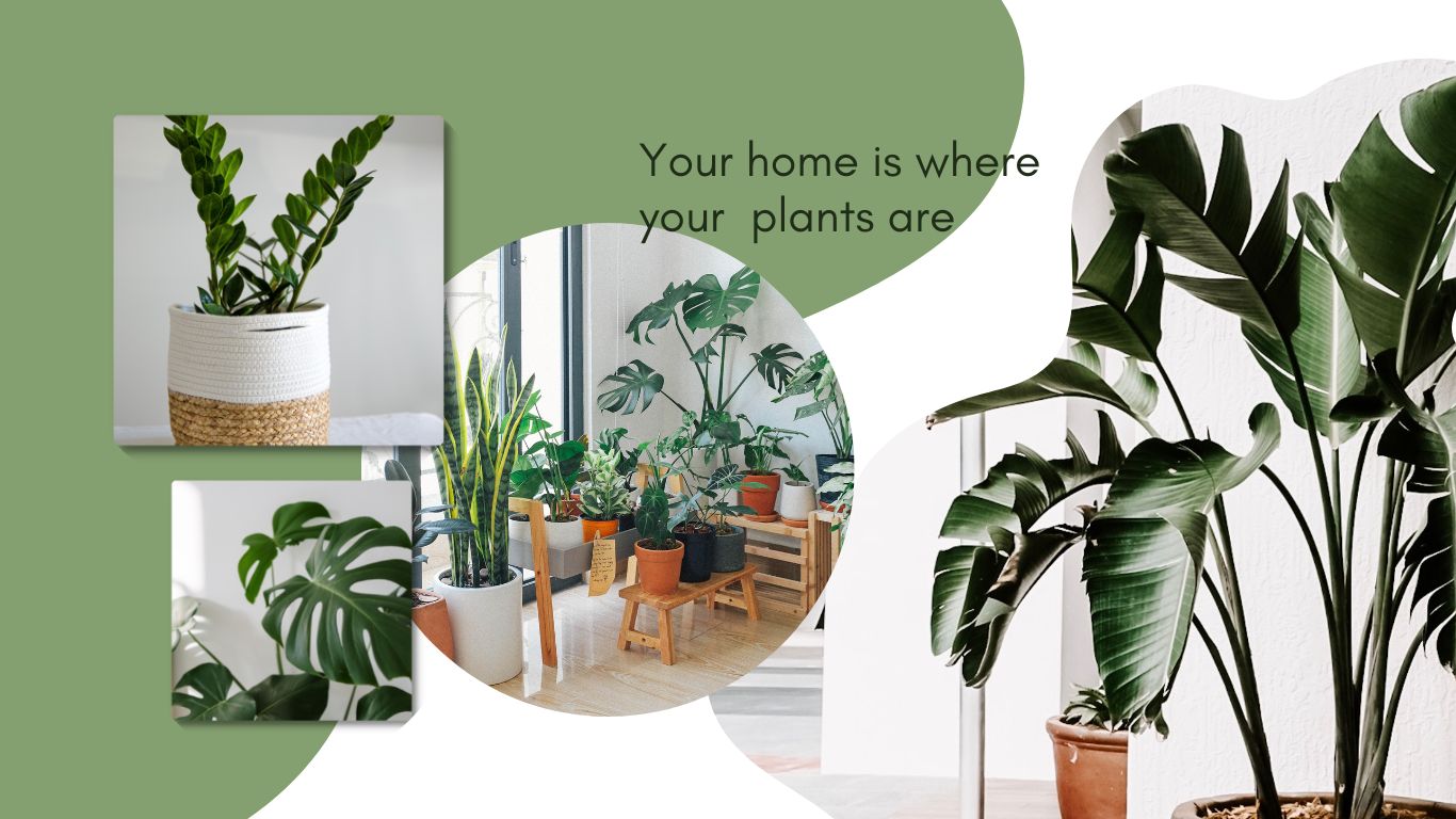 DECORSEASONS - ΕΠΟΧΙΑΚΑ ΕΙΔΗ - ΧΡΙΣΤΟΥΓΕΝΝΙΑΤΙΚΑ - ΚΑΘΡΕΦΤΕΣ ...